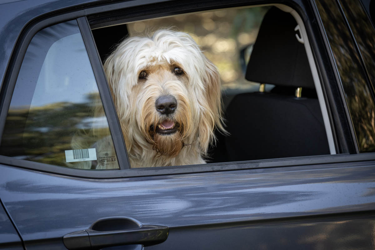 Spoiler: Tearful Goodbye as Trevor’s Future Is Confirmed – Die ...