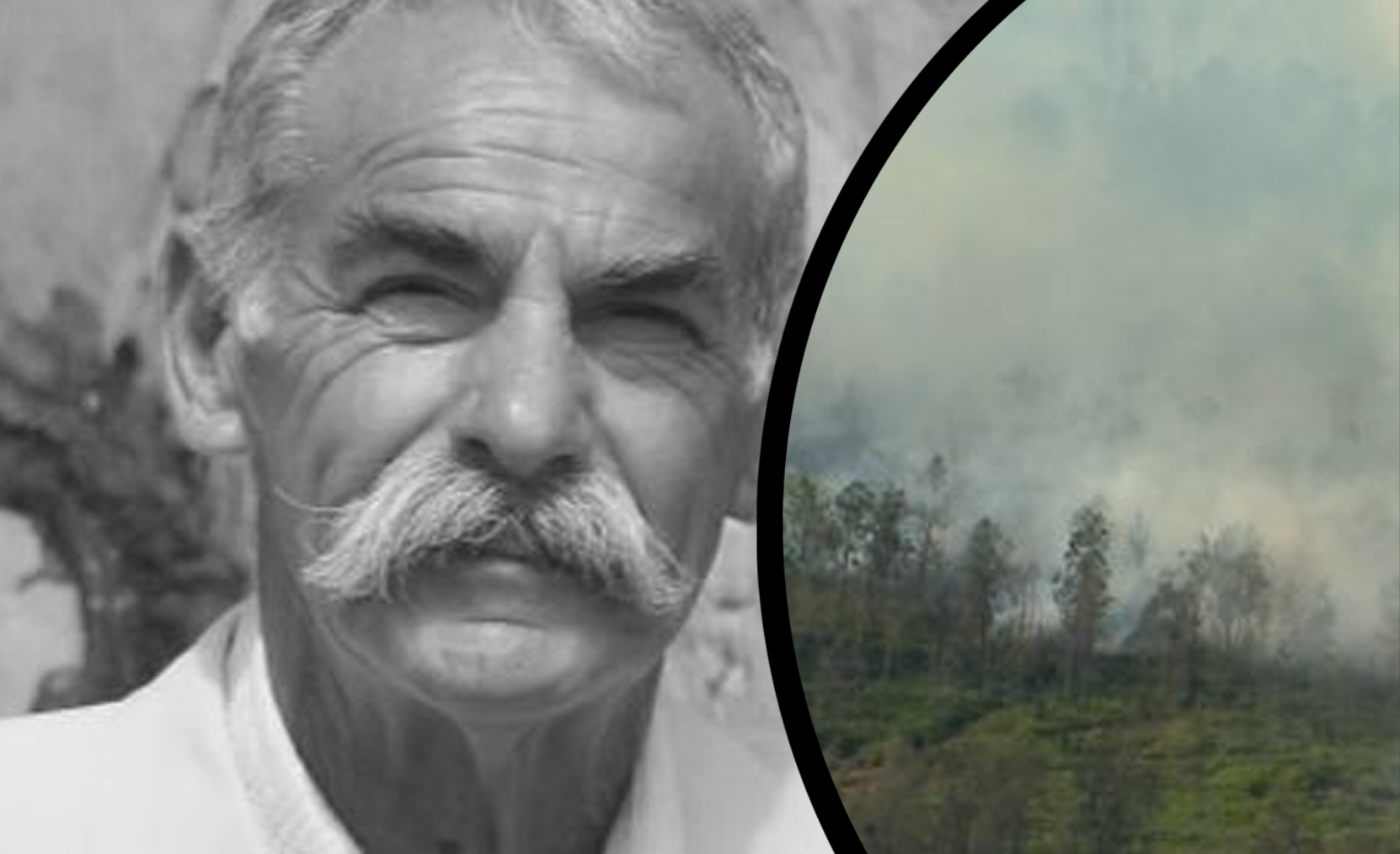 Shocking news: Amidst the plane crash in Queensland, Tony Scopelliti’s ...